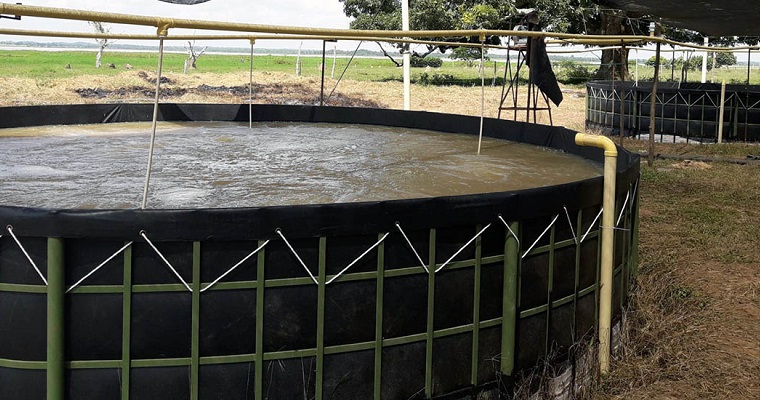 Minagricultura y Aunap definen condiciones para realizar proyectos productivos de peces con ...